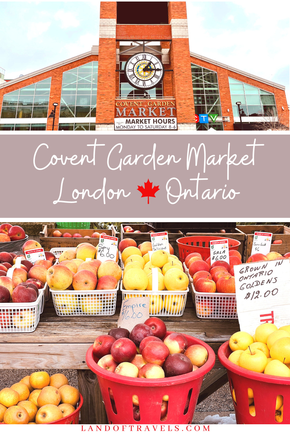 Covent Garden Market in London Ontario | Land Of Travels